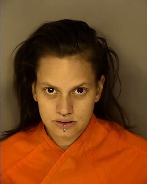 COGHLAN, VALERIE MAE- DRIVING UNDER SUSPENSION - DISREGARDING STOP SIGN ...