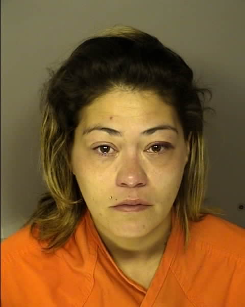 BARTO, GABRIELLA ANN - DOMESTIC VIOLENCE 3RD DEGREE - WFXB