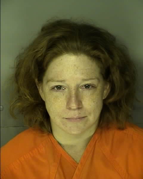 PADILLA, CHRISTINA NICOLE-PUBLIC DISORDERLY:PUBLIC INTOXICATION ...