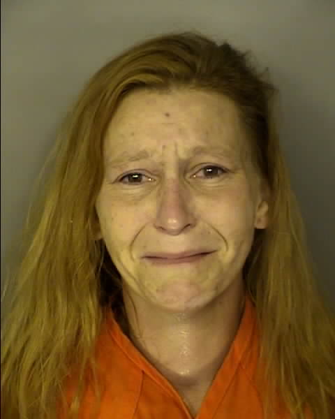 BURGESS, AMANDA CATHERINE - RESIST ARREST - USE OF VEHICLE WITHOUT ...