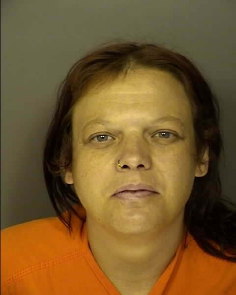 WOOLEY, LISA JO - POSS L:T ONE GRAM ICE, CRANK OR CRACKCOCAINE - MANF ...