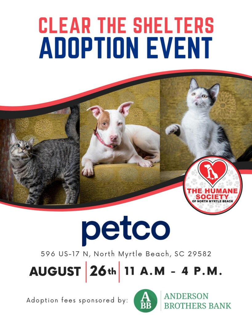Free Adoptions This Saturday at Petco in Myrtle Beach, Plus Meet Macy ...