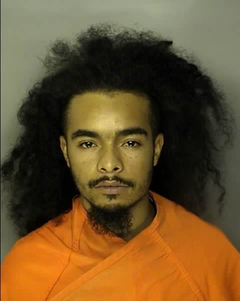 MARTIN, ADRIAN NICHOLAS - IMPROPER TAILLIGHTS - DUI - FAILURE TO CHANGE ...