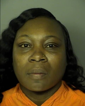 BLAKELY, STEPHANIE SHAREE - DRIVING UNDER THE INFLUENCE - OPEN CONTAIN ...