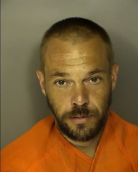 YOUNG, ALEXANDER LEON - DEFRAUDING HOTEL, INN, BOARDING HOUSE OR ...