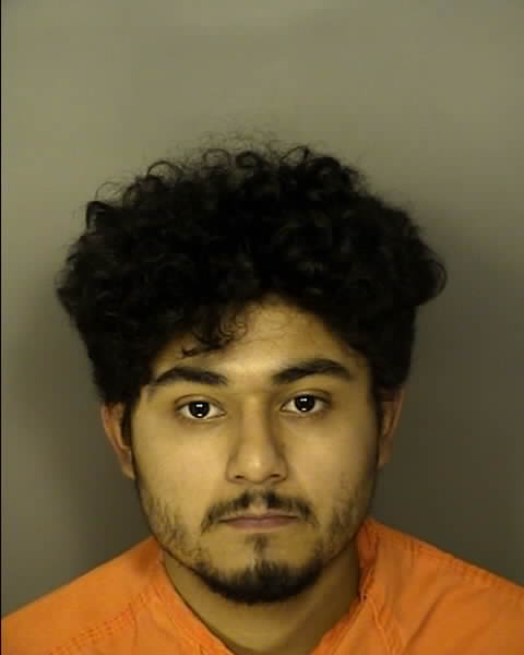 MAYA-ALONSO, SERGIO DAVID - DOMESTIC VIOLENCE 3RD DEGREE - WFXB