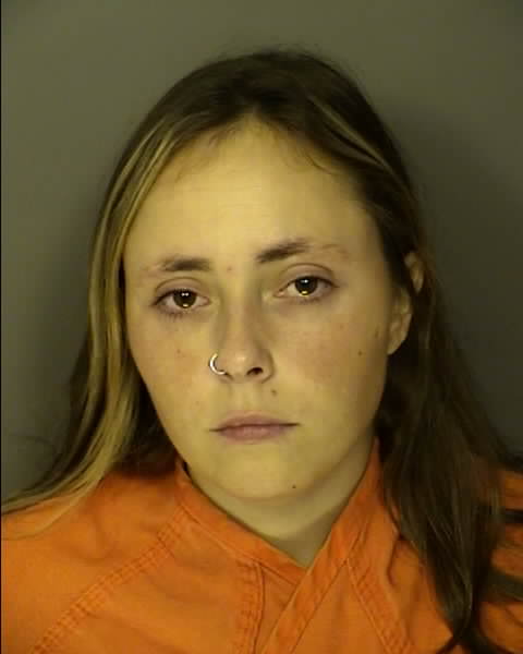 WEDGEWOOD, HARLEY MARIE - GIVING FALSE INFORMATION TO LAW ENFORCEMENT ...