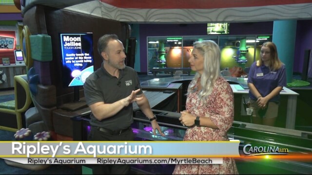 CAM 0922 RIPLEY'S AQUARIUM_JELLIES - WFXB