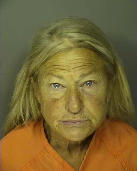 NERISON, RUTH NAOMI - ASSAULT ON A POLICE OFFICERWHILE RESISTING ARREST ...