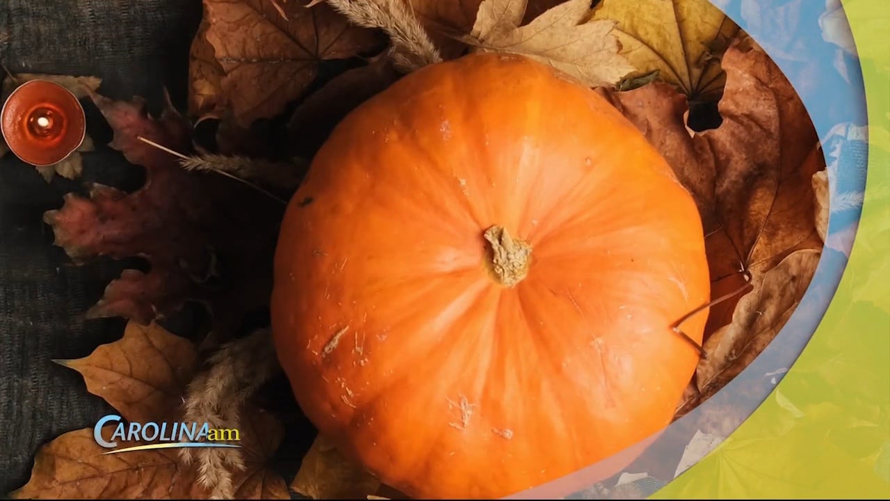 Play Along with Trivia for National Pumpkin Day! - WFXB