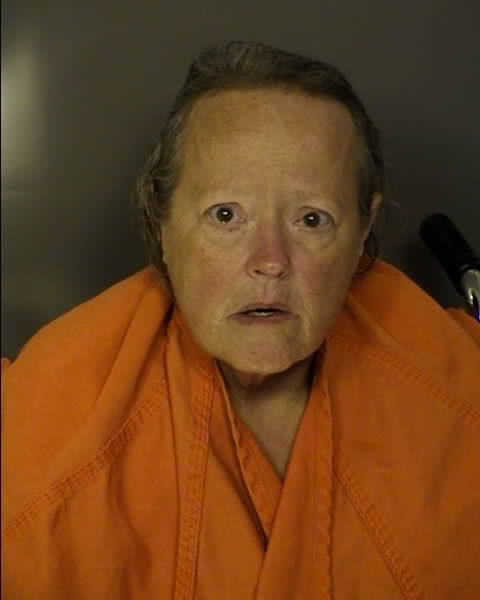 HARDING, JEANETTE MARIE - Trespass - WFXB