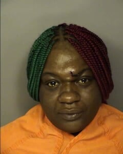 BROWN, LADOVIA SHEMIKA - DOMESTIC VIOLENCE 3RD DEGREE - WFXB