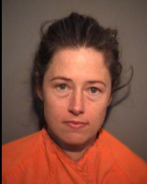 HIGSON, MICHELLE LANE - ASSAULT AND BATTERY - WFXB