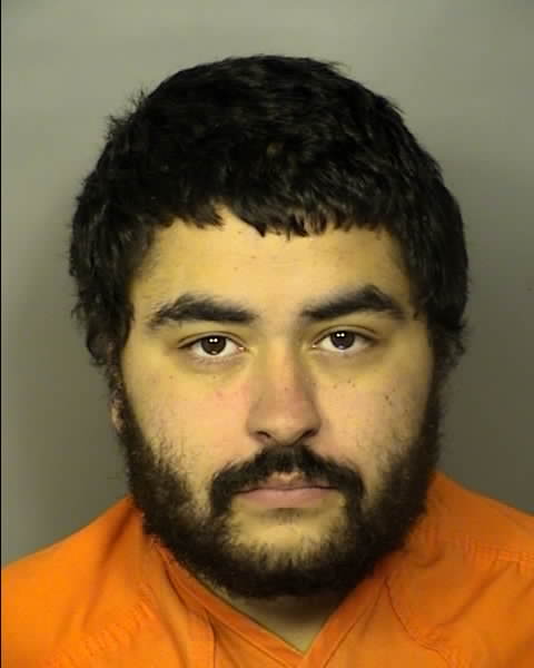 JOHNSON, MICHAEL JOSEPH - DRIVING UNDER THE INFLUENCE - DRIVING UNDER ...