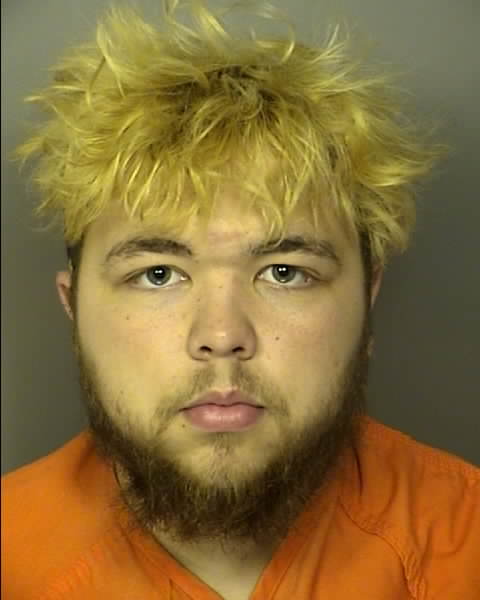 HEISER, DOMINICK JESSE - SPEEDING - DRIVING UNDER SUSPENSION, LICENSE ...