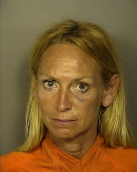 DION, MISTY WILSON - DOMESTIC VIOLENCE 3RD DEGREE - WFXB