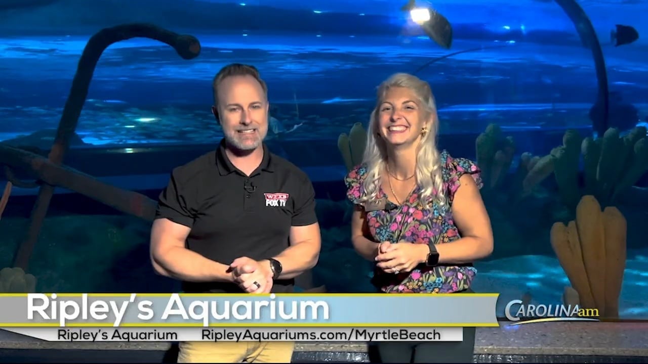 ripley 062824 - WFXB