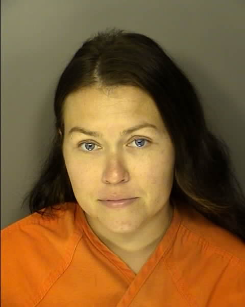 BUSCH, LAURA LEE - DOMESTIC VIOLENCE 2ND DEGREE - WFXB