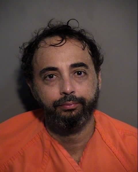 ALVAREZ, JOSHUA PAUL-CRIMINAL DOMESTIC VIOLENCE-PUBLIC INTOXICATION ...