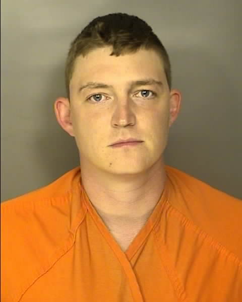ROBERTS, DARREN HAMPTON-CRIMINAL SEXUAL CONDUCT-DOMESTIC VIOLENCE 1ST ...
