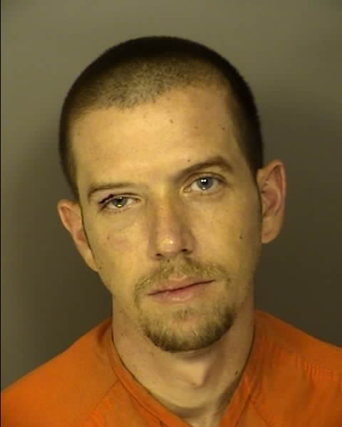 BALDREE, MATTHEW EDWIN-DOMESTIC VIOLENCE 1ST DEGREE - WFXB