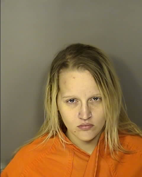 PETTY, MISSY MARIE NOLAN - SHOPLIFTING UNDER $2,000 - POSS. OF COCAINE ...