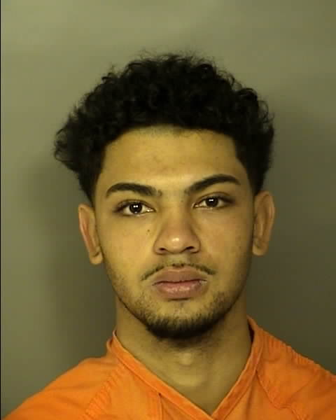 CARVALHO DA SILVA, ROBERT - DRIVING WITHOUT A LICENSE - 1ST OFFENSE - WFXB