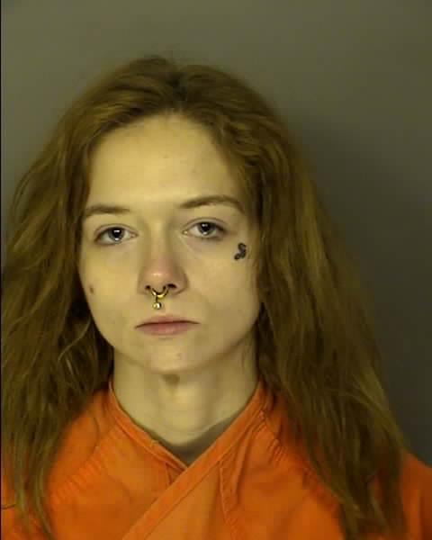 CALES, SARAH MARIE Possession of Other Controlled Substance in Schedule ...