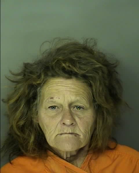 HUCKS, AMELIA MICHELLE OBTAIN SIGNATURE OR PROP. UNDER FALSE PRETENSES ...