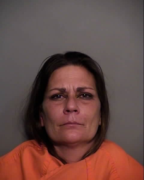 GIDDENS, STEPHANIE JOHANNA Driver's license required; surrender and ...