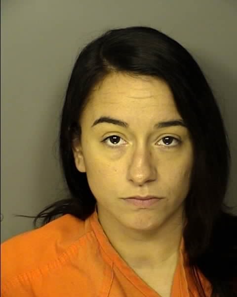 BRIGMAN, JESSICA ANNA FAILURE TO STOP FOR A BLUE LIGHT, NO INJURY OR ...