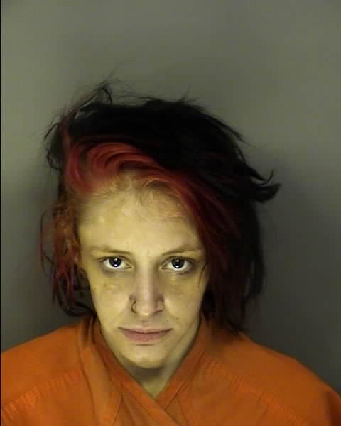 ROSENBLATT, KIMBERLY ANNE - No Charges Listed - WFXB