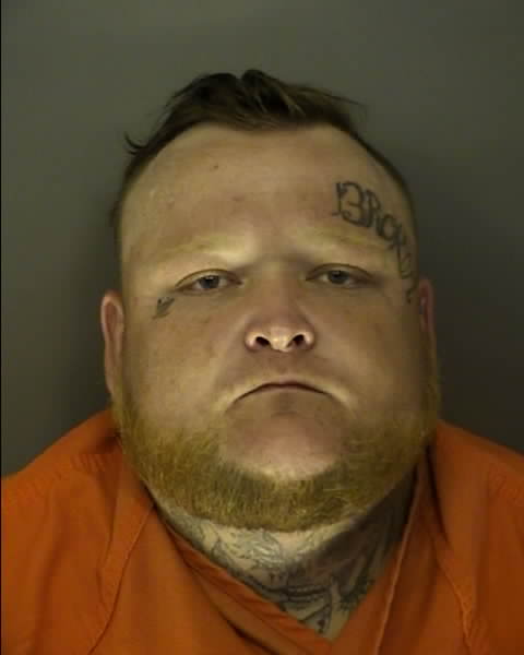 LEE, CHRISTOPHER JOSEPH - Shoplifting - FAILURE TO APPEAR - RESIST ...