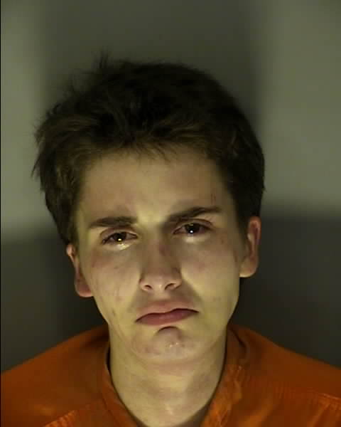 GORDON, CALLIE SAMARA - POSS. WEAPON DURING VIOL. CRIME, IF NOTALSO ...