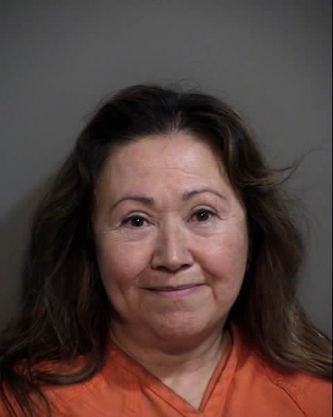 SANOSKE, MICHELLE ROWLAND - PUBLIC DISORDERLY:PUBLIC INTOXICATION ...
