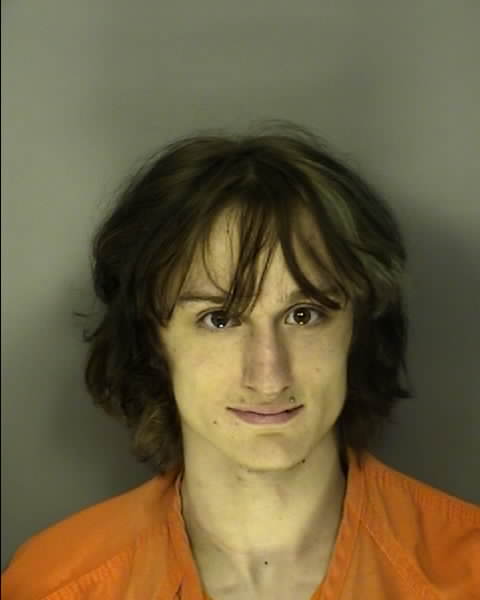 MERTINE, DEVIN TYLER - ARMED ROBBERY, ROBBERY WHILE ARMED OR ALLEGEDLY ...