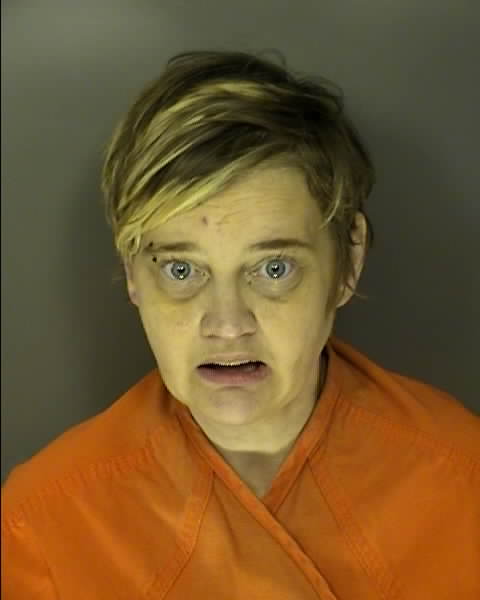 CARSON, JAYMIE LYNN - CONTEMPT OF FAMILY COURT BY ADULTOFFENSE - WFXB