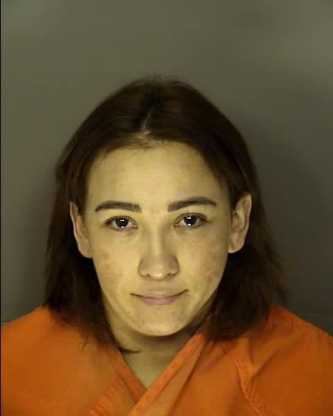 GRIJALVA REYES, DIANA YAQUELY - Firearms; possession by or sale to ...