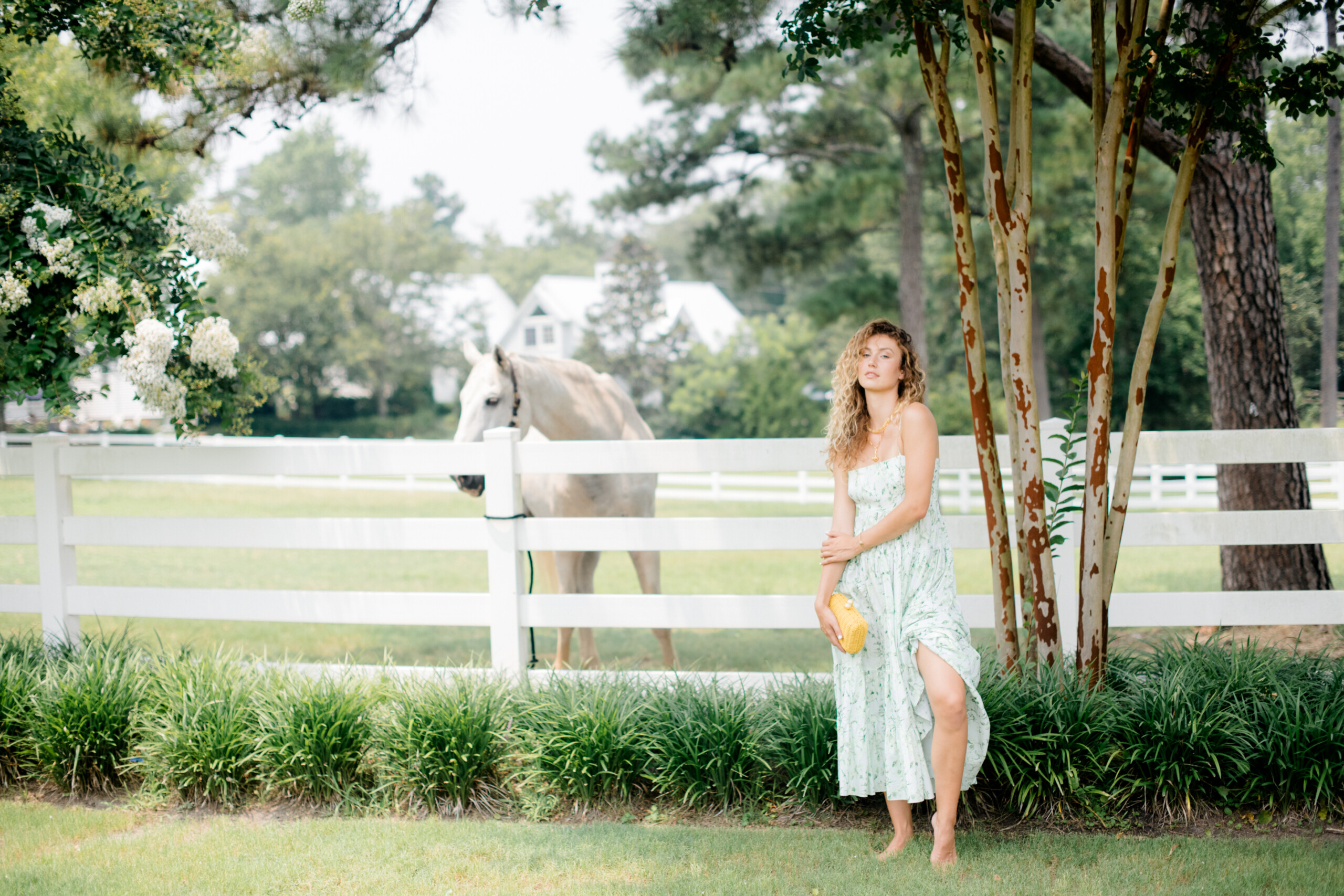 New Leaf - WILMA magazine