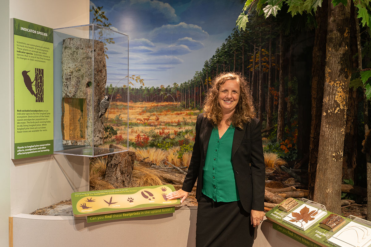 Entering a New Era - WILMA magazine