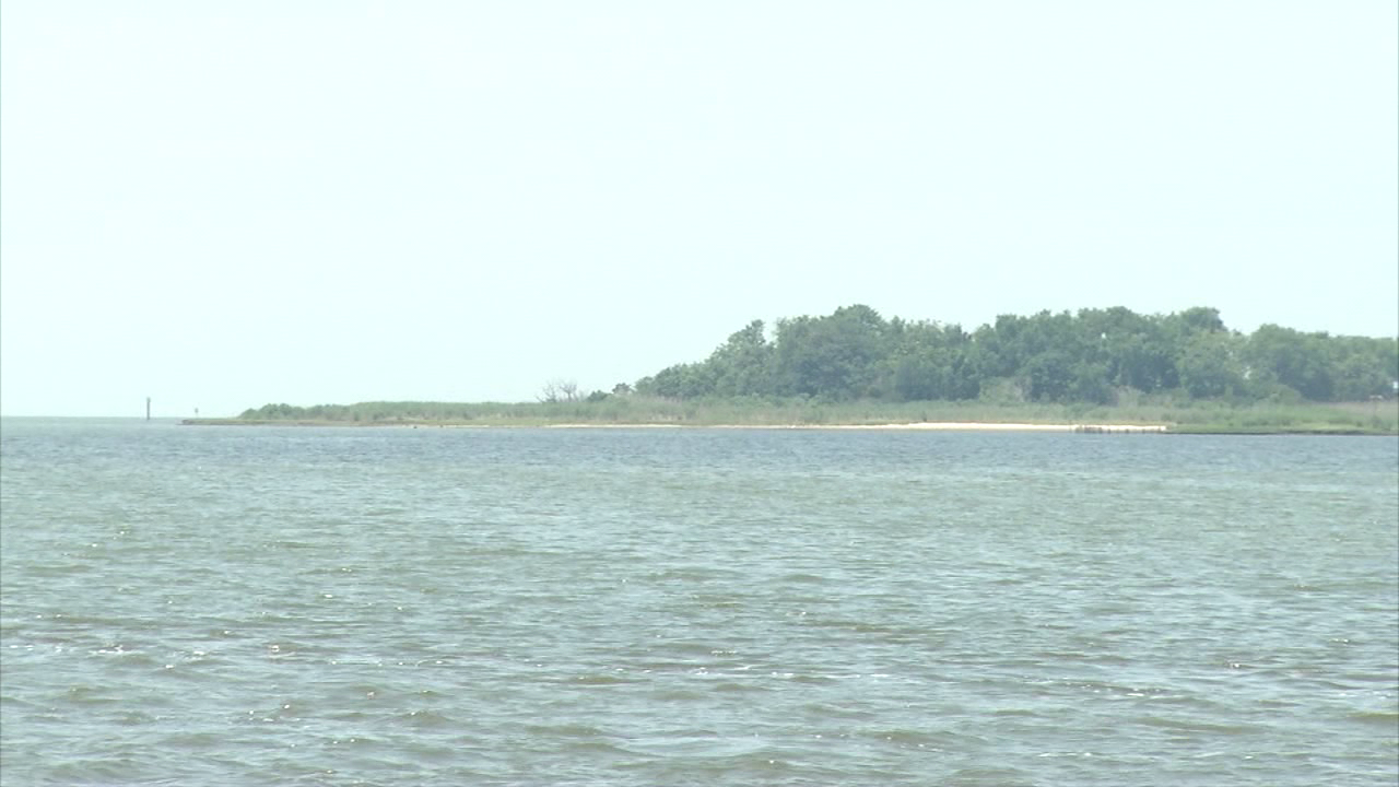 Chesapeake Bay Program reports that restoration efforts are working - 47abc
