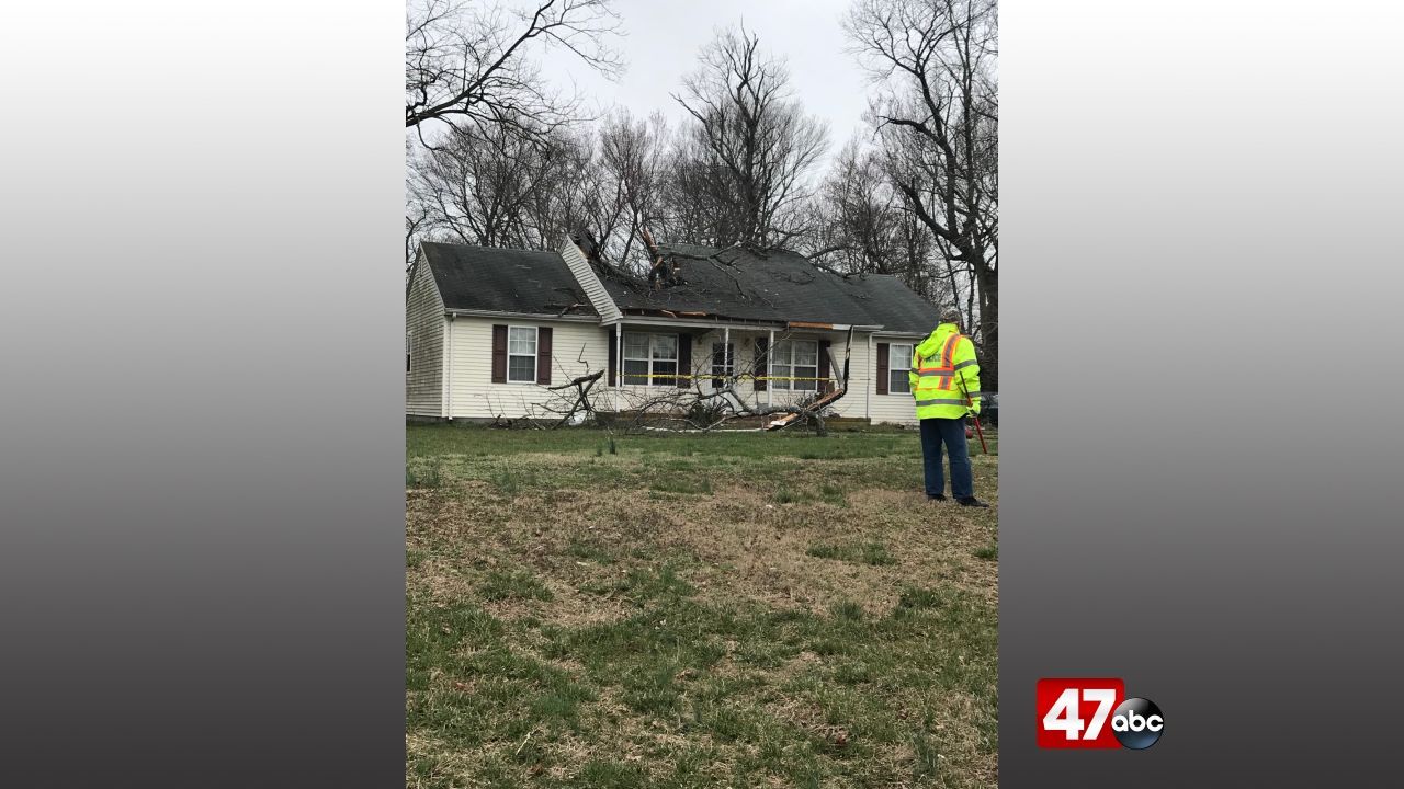 Nor'easter causes power outages and fallen trees around Delmarva - 47abc