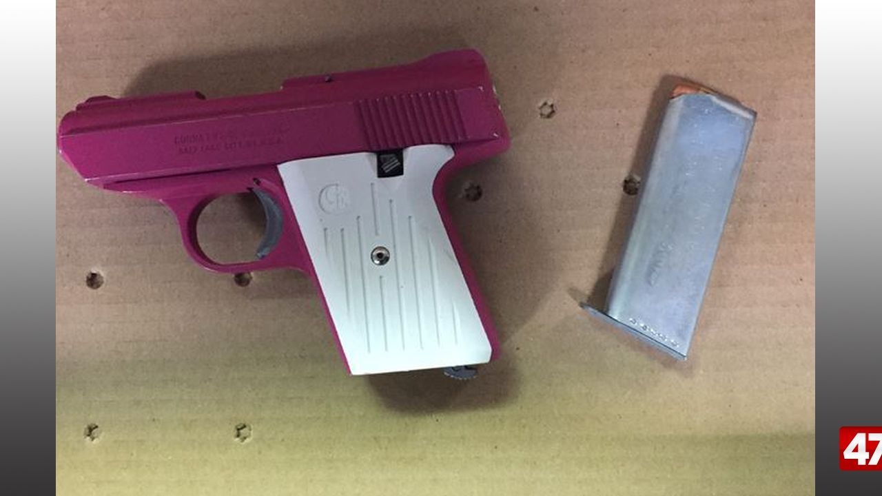 Police: Teens arrested on firearms, gang charges in Dover - 47abc