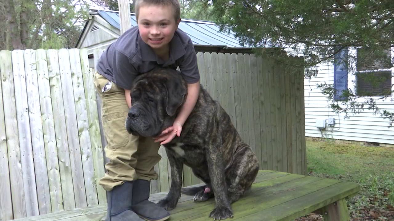 Family reunited with missing dog after 10 months - 47abc