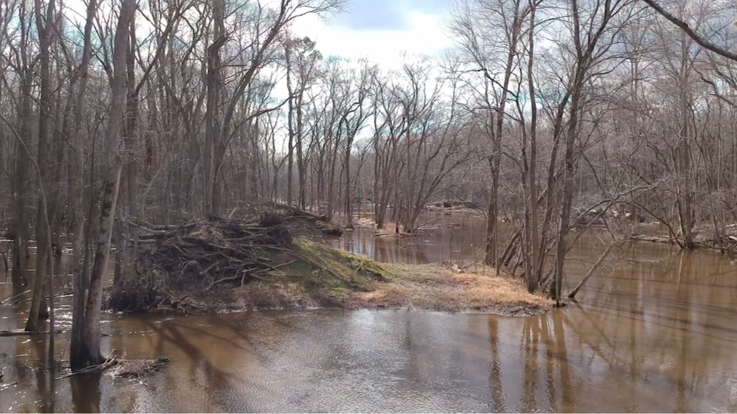 Massive project restores Pocomoke River wetlands - 47abc