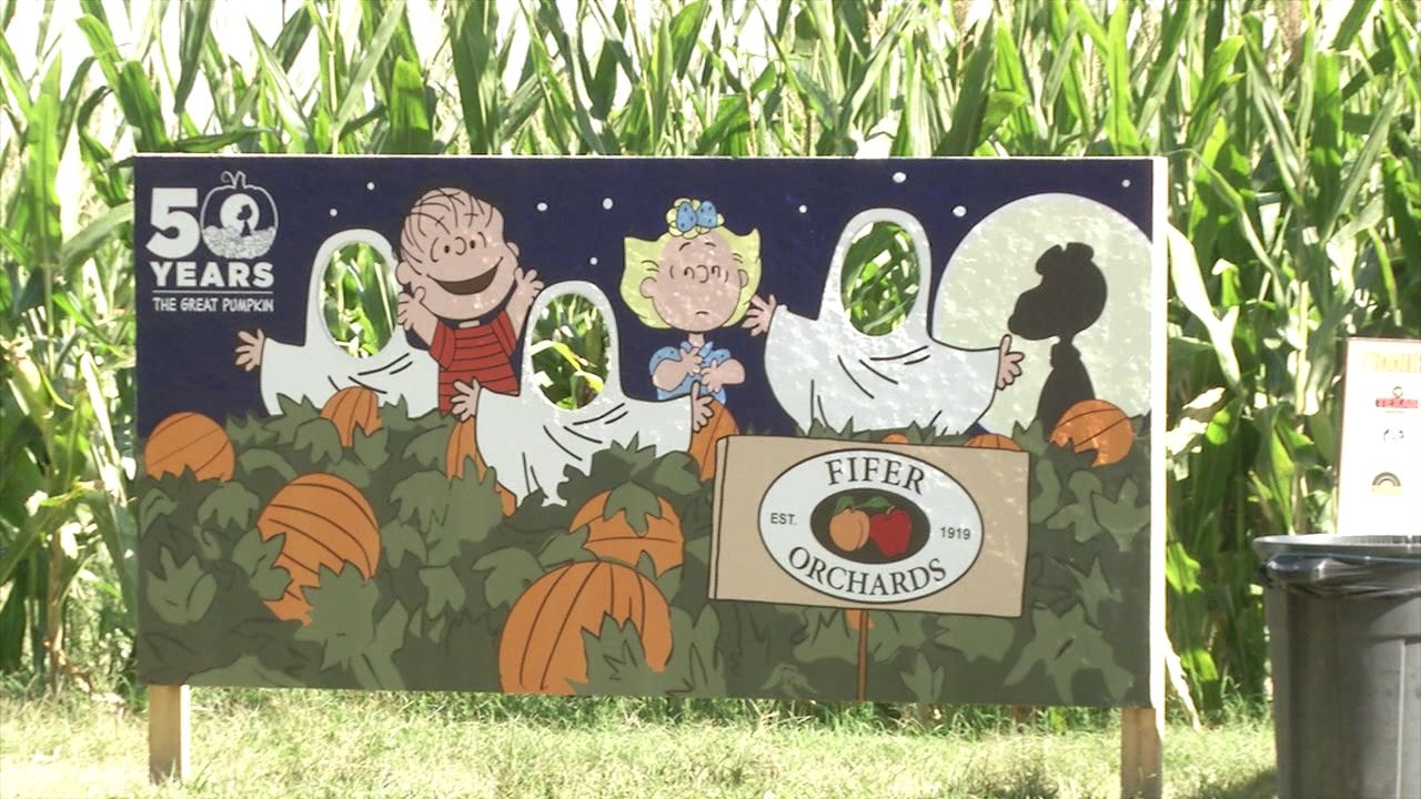 Local farm celebrates 50th anniversary of 'It's the Great Pumpkin ...