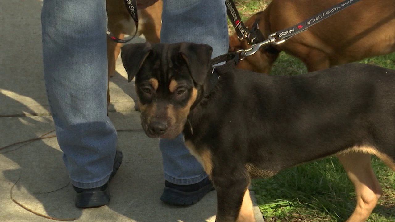 SPCA adding on new community center - 47abc