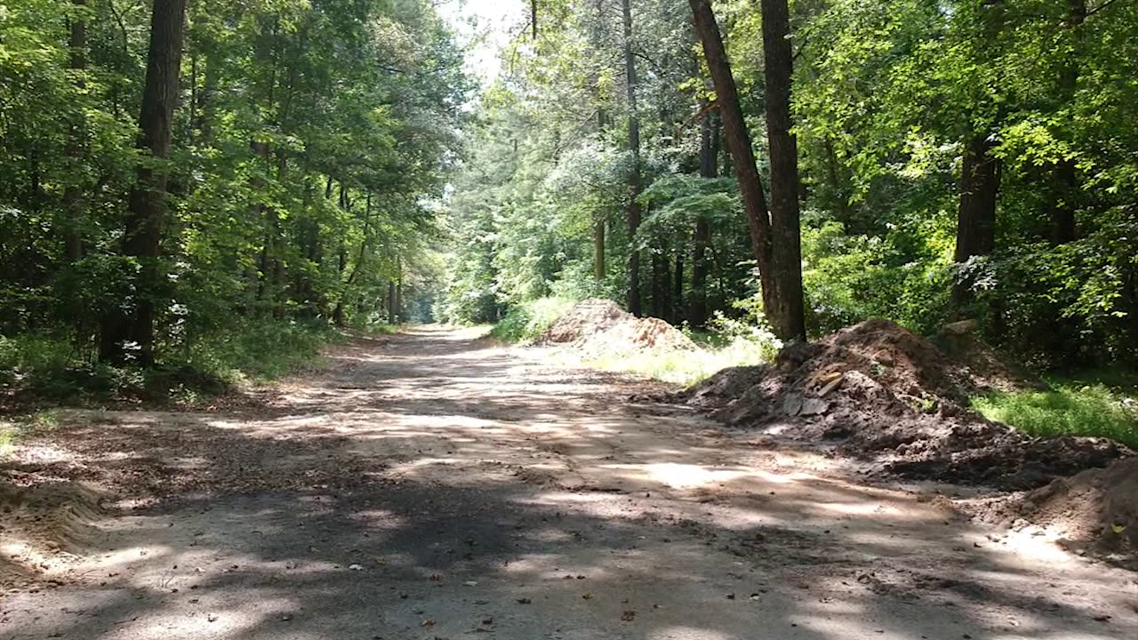 Historic Redden State Forest pavilion reopens - 47abc