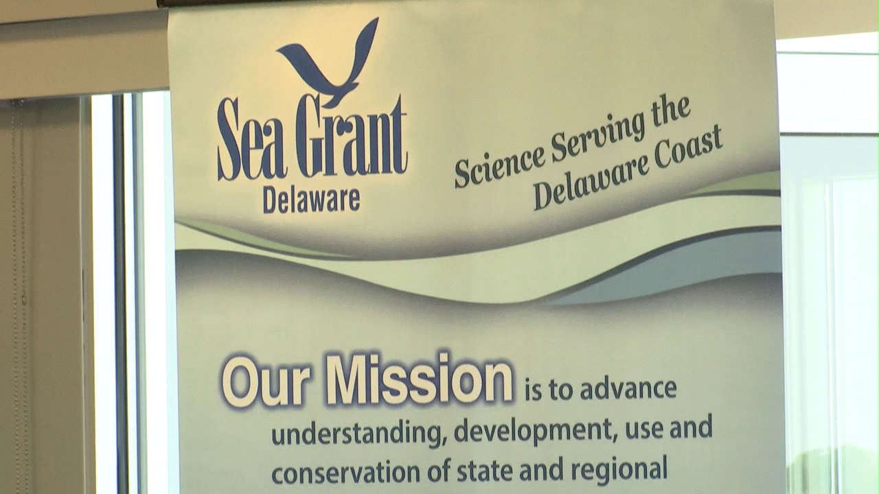 New Delaware Sea Grant funding supports Rehoboth Beach business - 47abc
