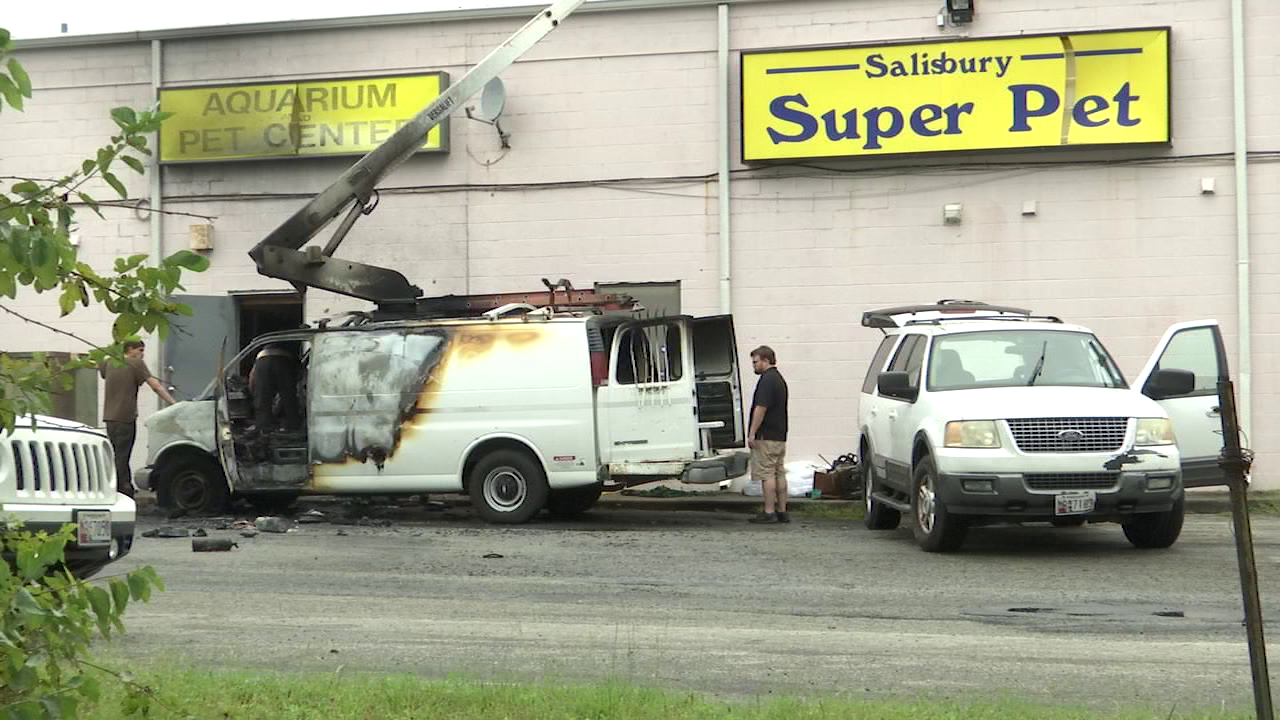 Animals "ok" after Md. pet store catches fire - 47abc